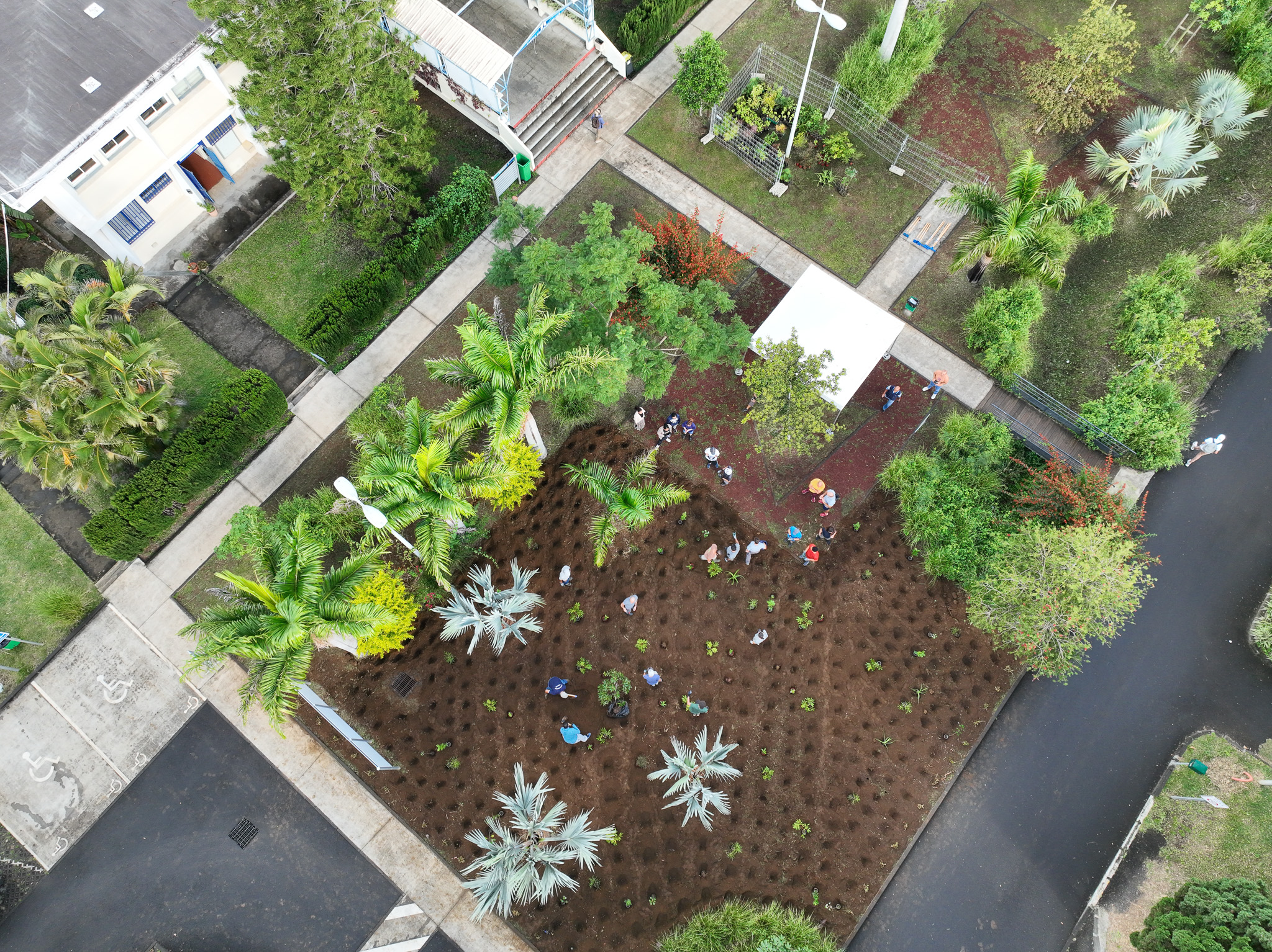 L'Université de La Réunion s'engage pour la biodiversité - Université ...