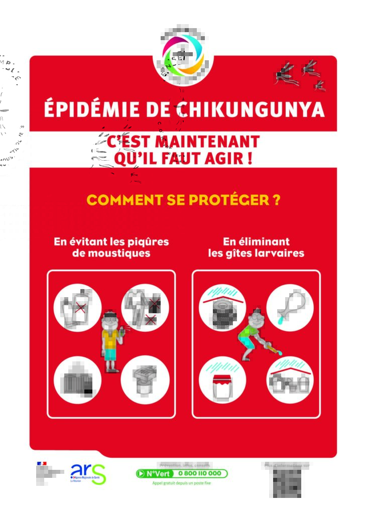 Mobilisation contre le chikungunya : l'Université de La Réunion forme ...